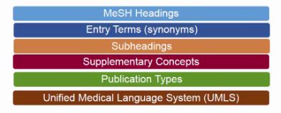 Cómo Funciona El Nuevo Pubmed Mapeo Automático De Términos Automatic